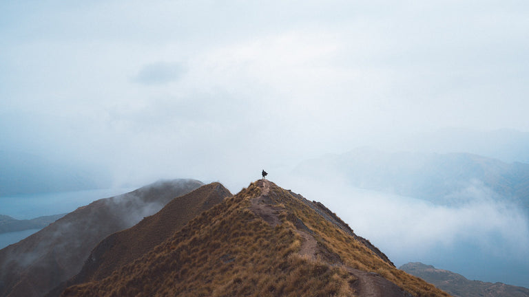 The best Instagram crop sizes 2020 – Pat Kay