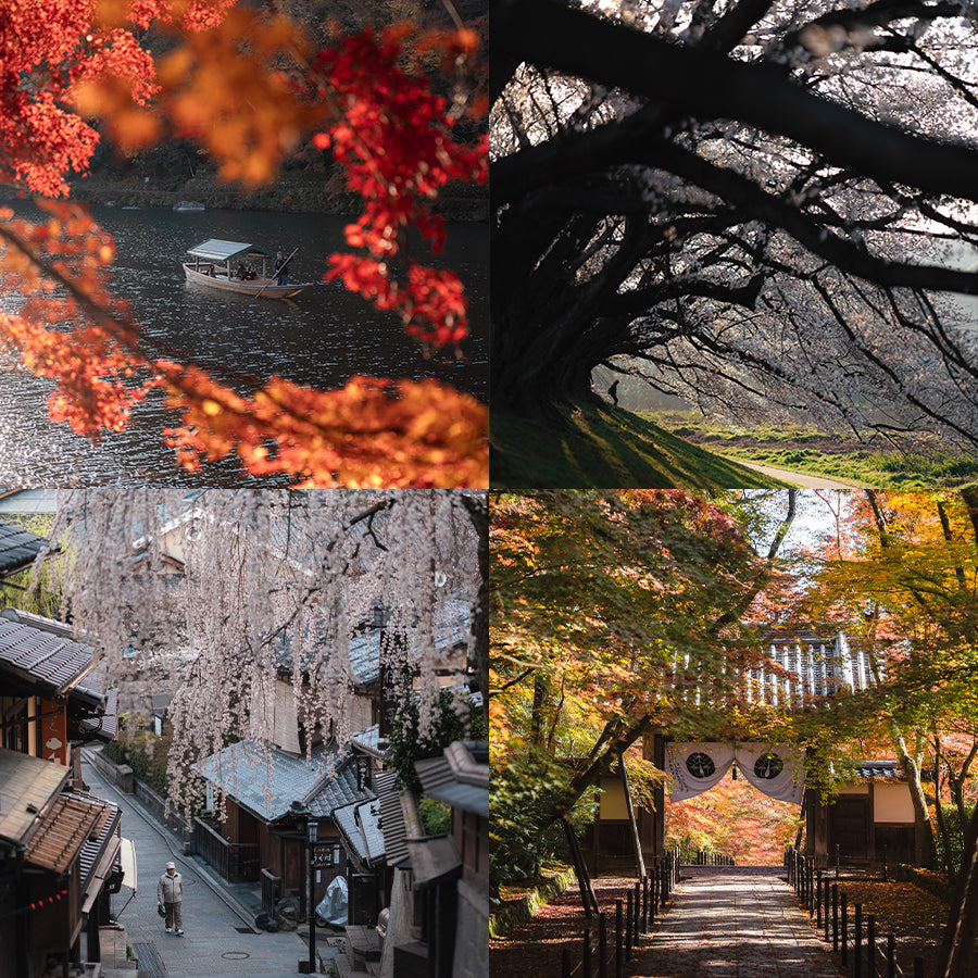 Photography Guide To Kyoto – Pat Kay