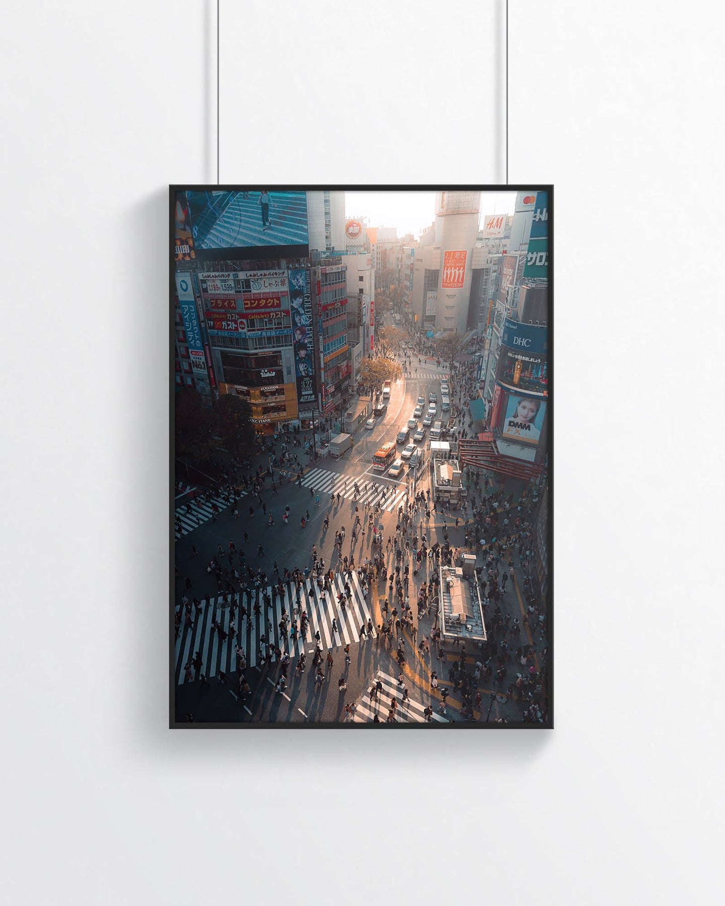 Prints – Pat Kay