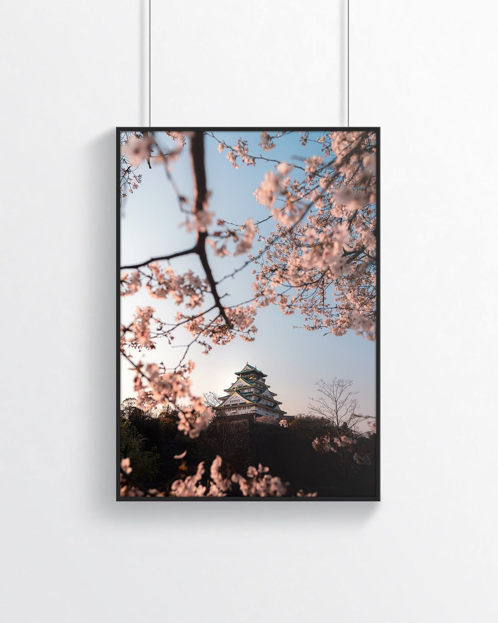 Prints – Pat Kay