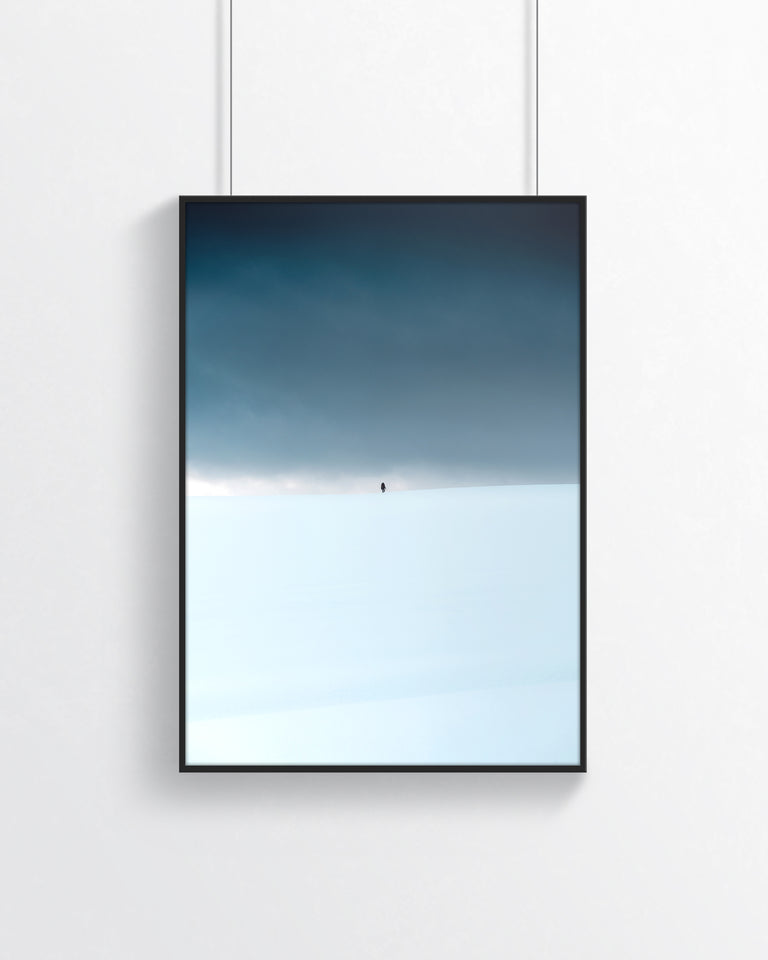 Prints – Pat Kay